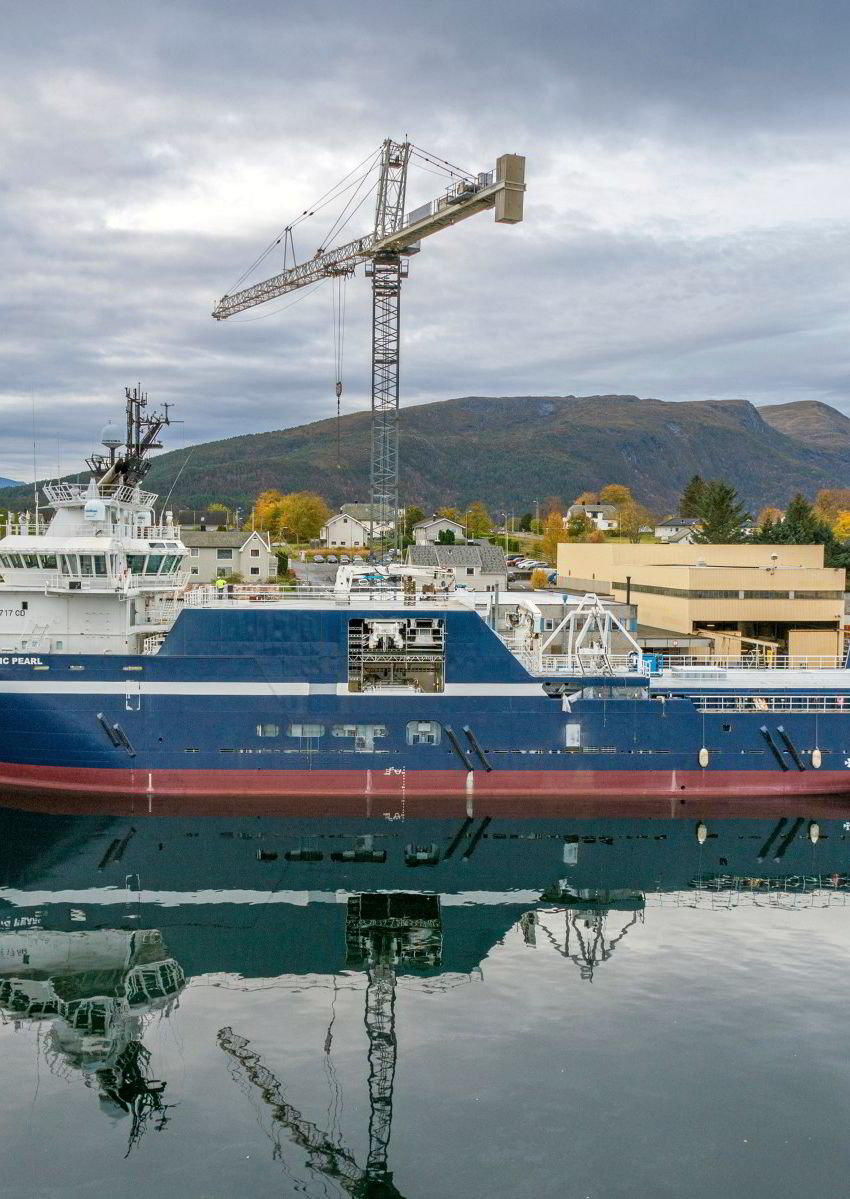 Thirty years after Norway's scallop fishery collapsed, this company and ...