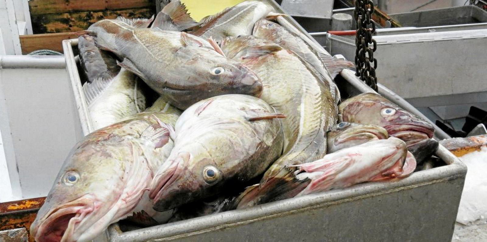 'They know it will be more expensive tomorrow': Demand pushing ...