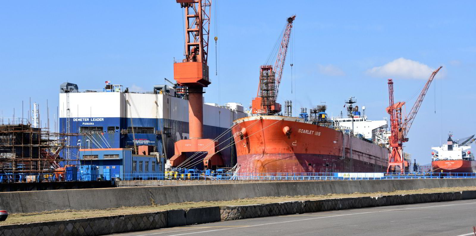 Safe Bulkers doubles newbuilding orderbook with post-panamax duo ...