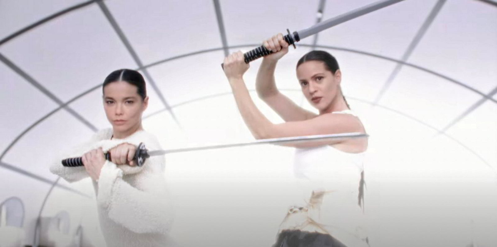 Pop star Bjork releases love song to fight the Icelandic salmon farming ...