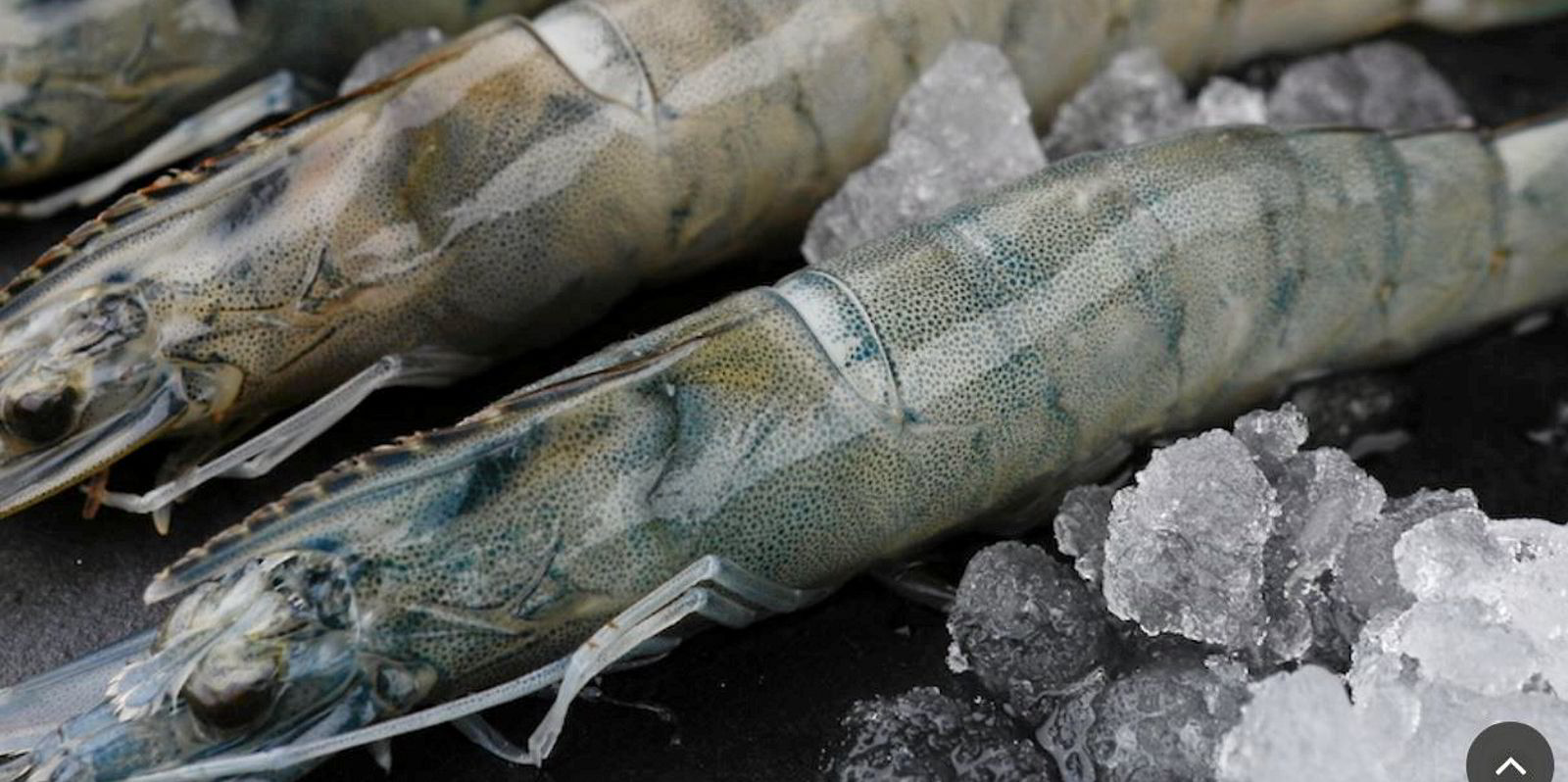 Thai giant CP Foods, Spanish firm strike exclusive EU distribution deal ...