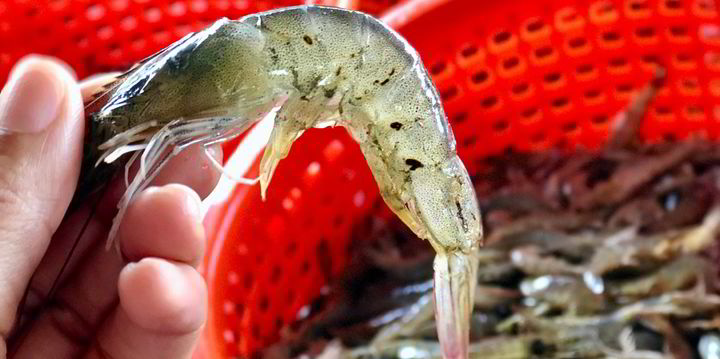Is there new hope in the battle to fight the deadliest shrimp diseases ...