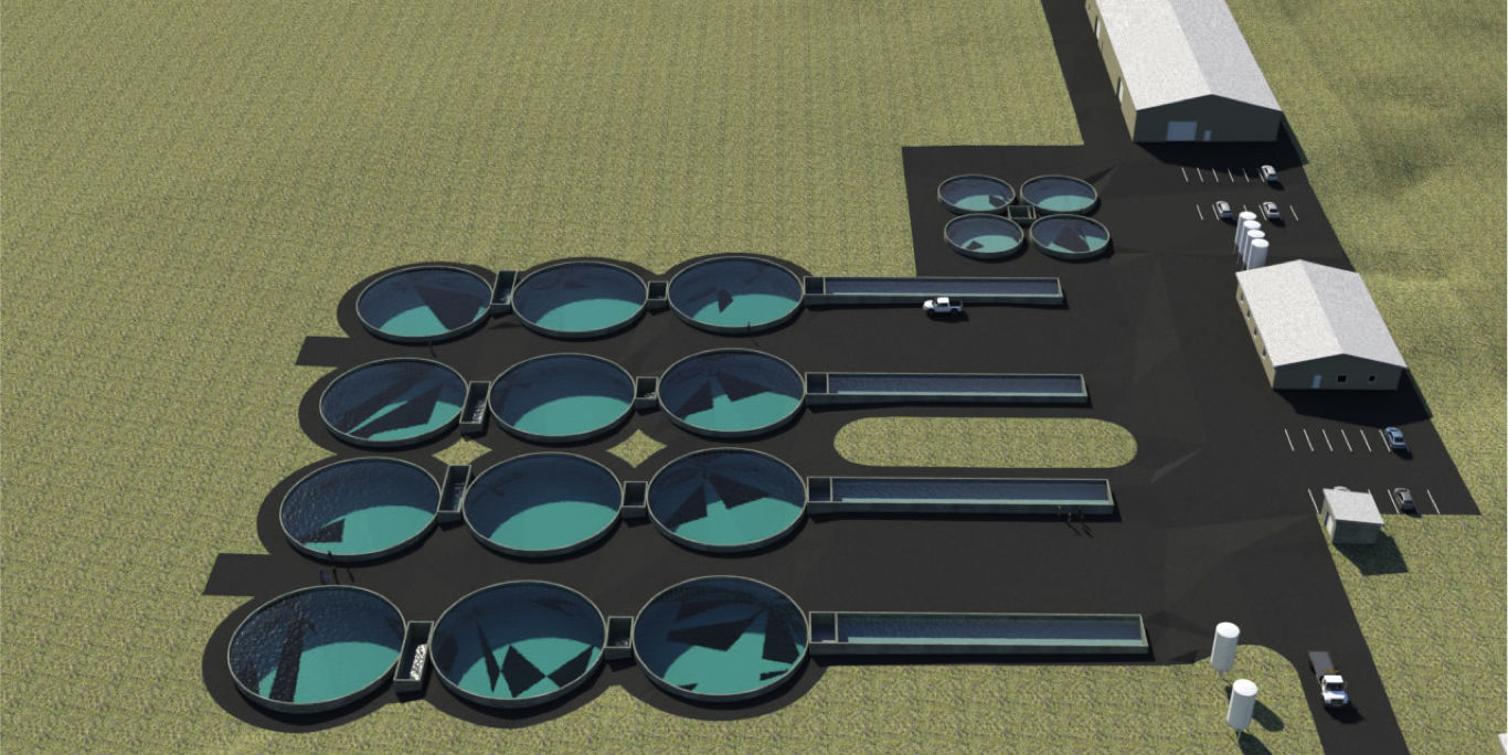 Aqua Spark invests in Icelandic Arctic char firm | IntraFish.com