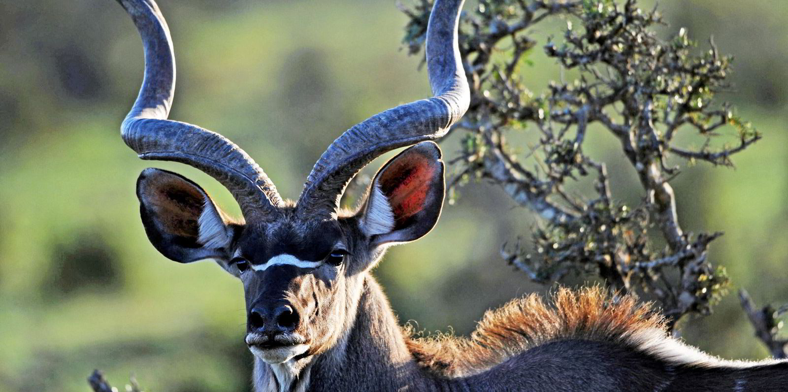 ‘Light at the end of tunnel’: Major revamp of Namibia’s Kudu project ...