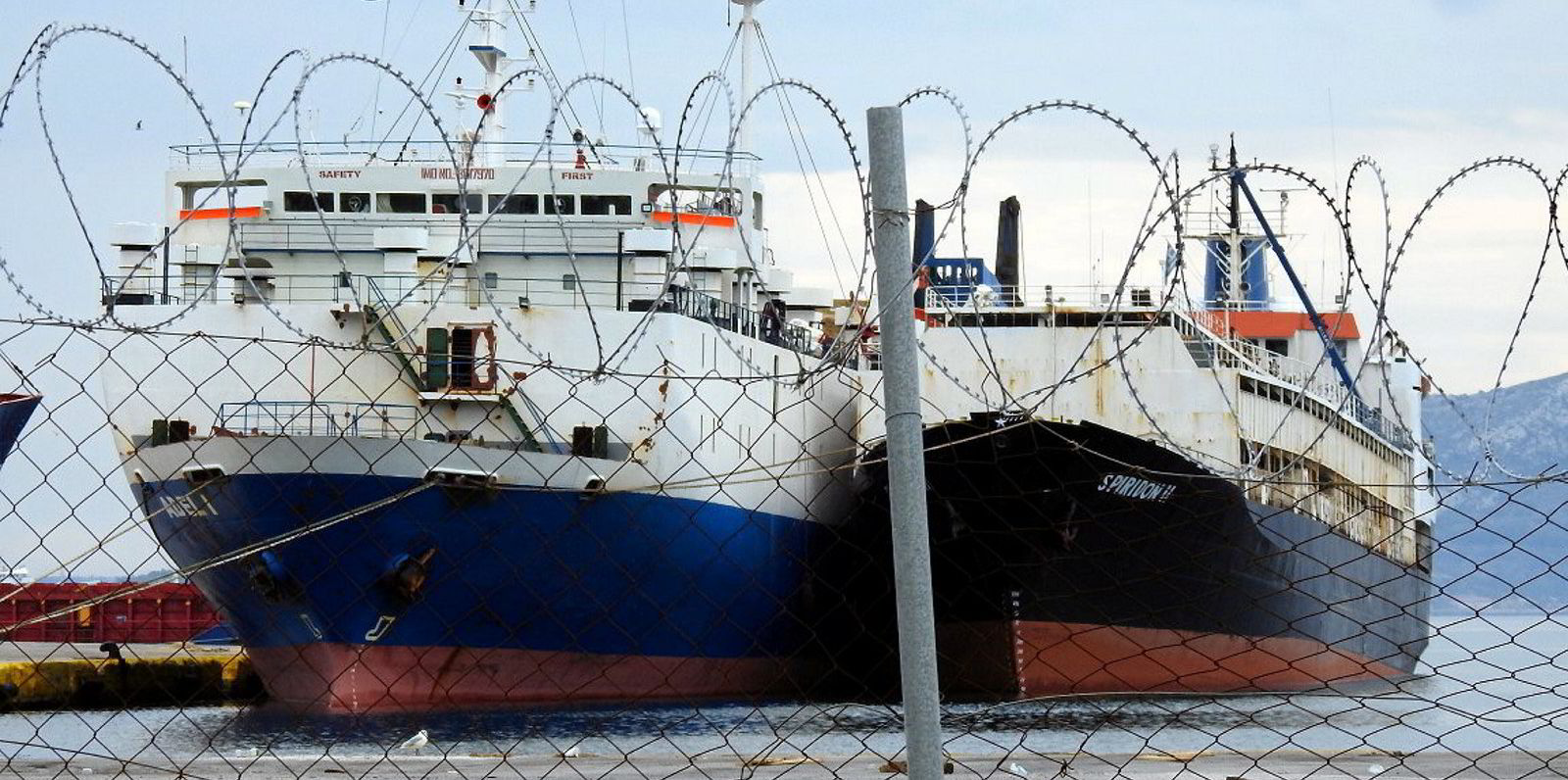 Livestock carrier breakdown and ship-to-ship transfer raise concerns ...