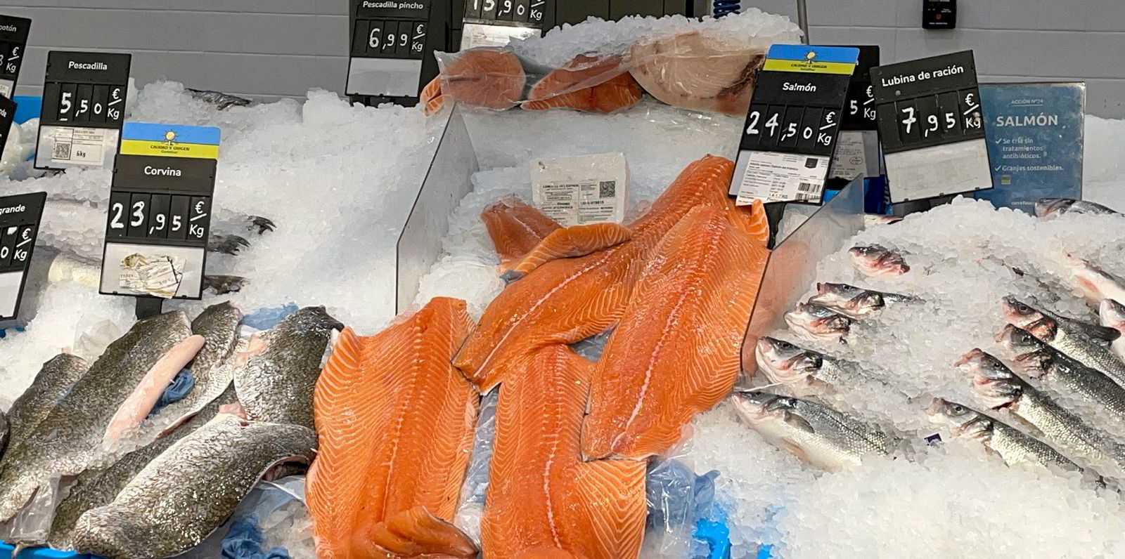 Soaring salmon prices lift Blumar Q1 earnings | IntraFish.com