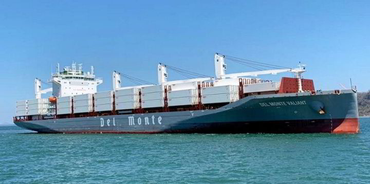 Fresh Del Monte rebrands in bid to capture third-party cargoes | TradeWinds