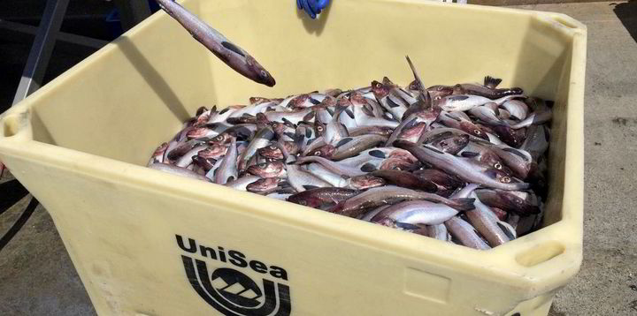 UniSea plant on track to reopen this week; Alaska pollock processing ...