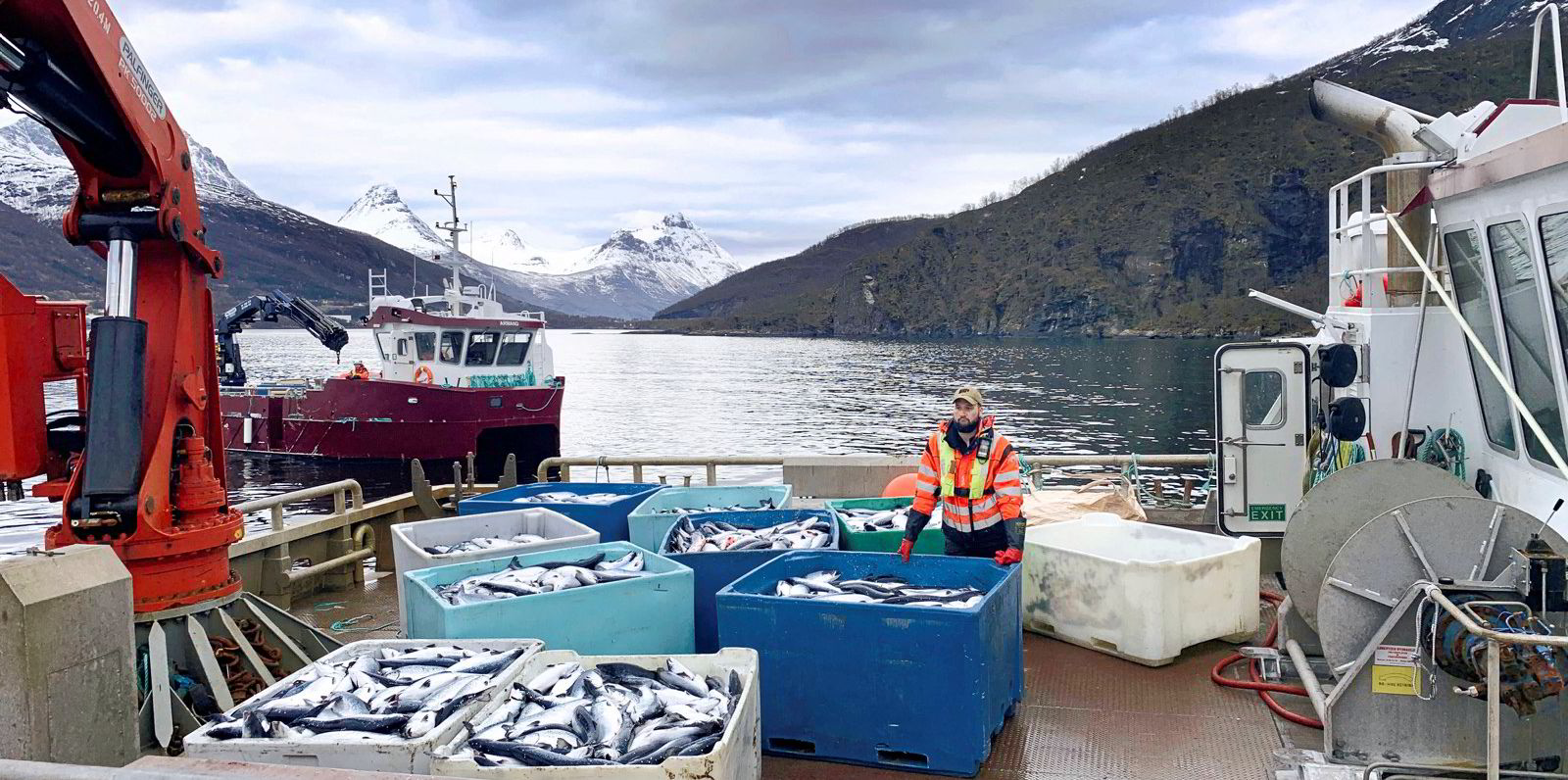 Norwegian salmon farmer acquires stake in shipyard | IntraFish.com