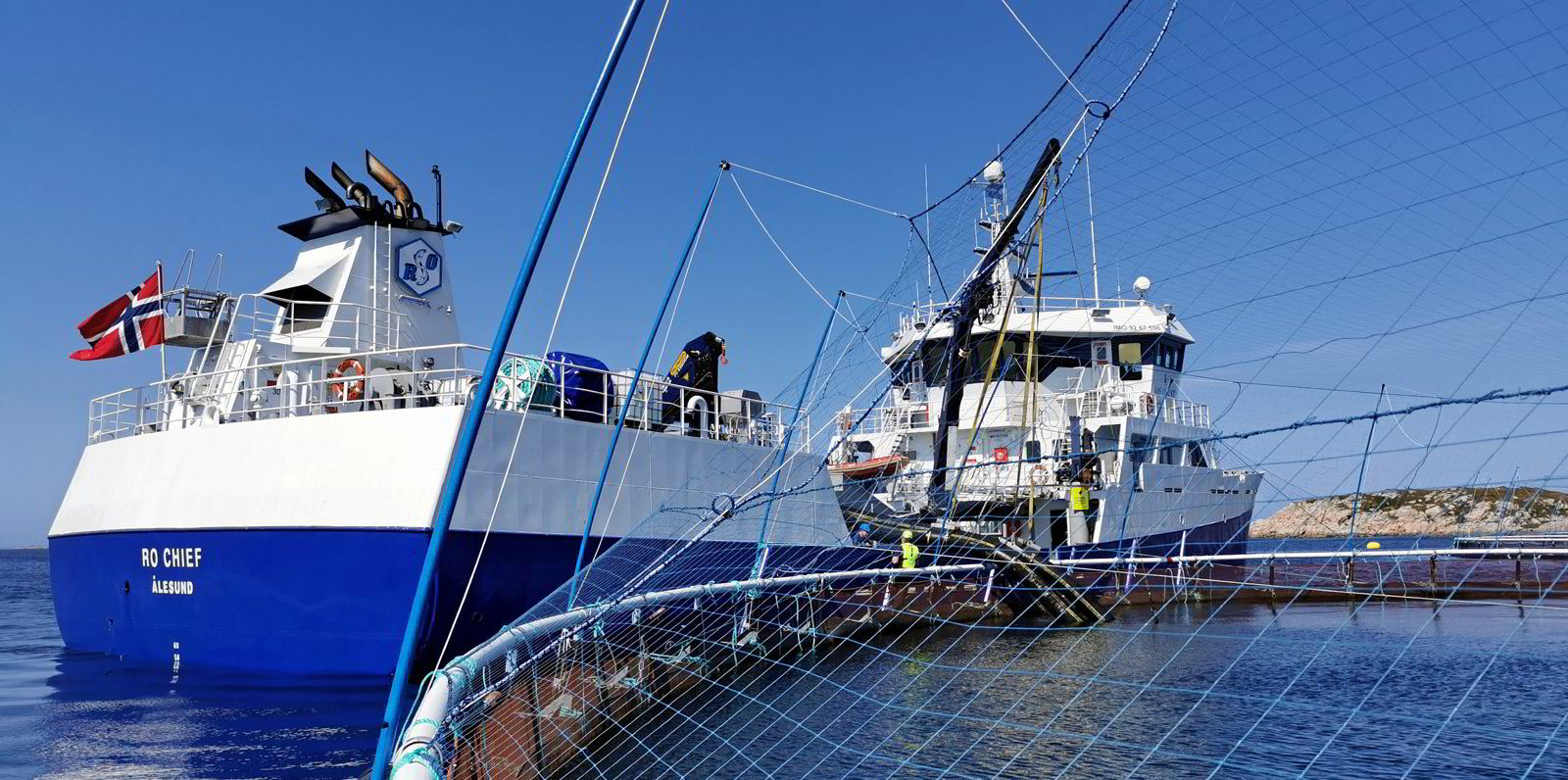 Cod farmer Norcod makes first harvest | IntraFish.com