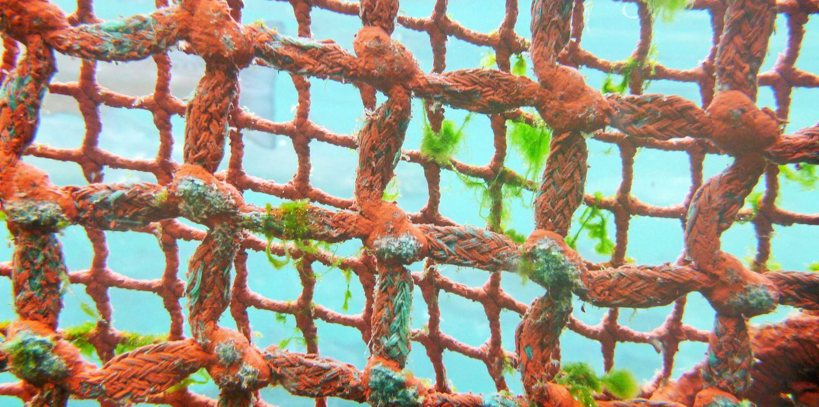 Mowi's use of copper-impregnated net is in breach of farming permit ...