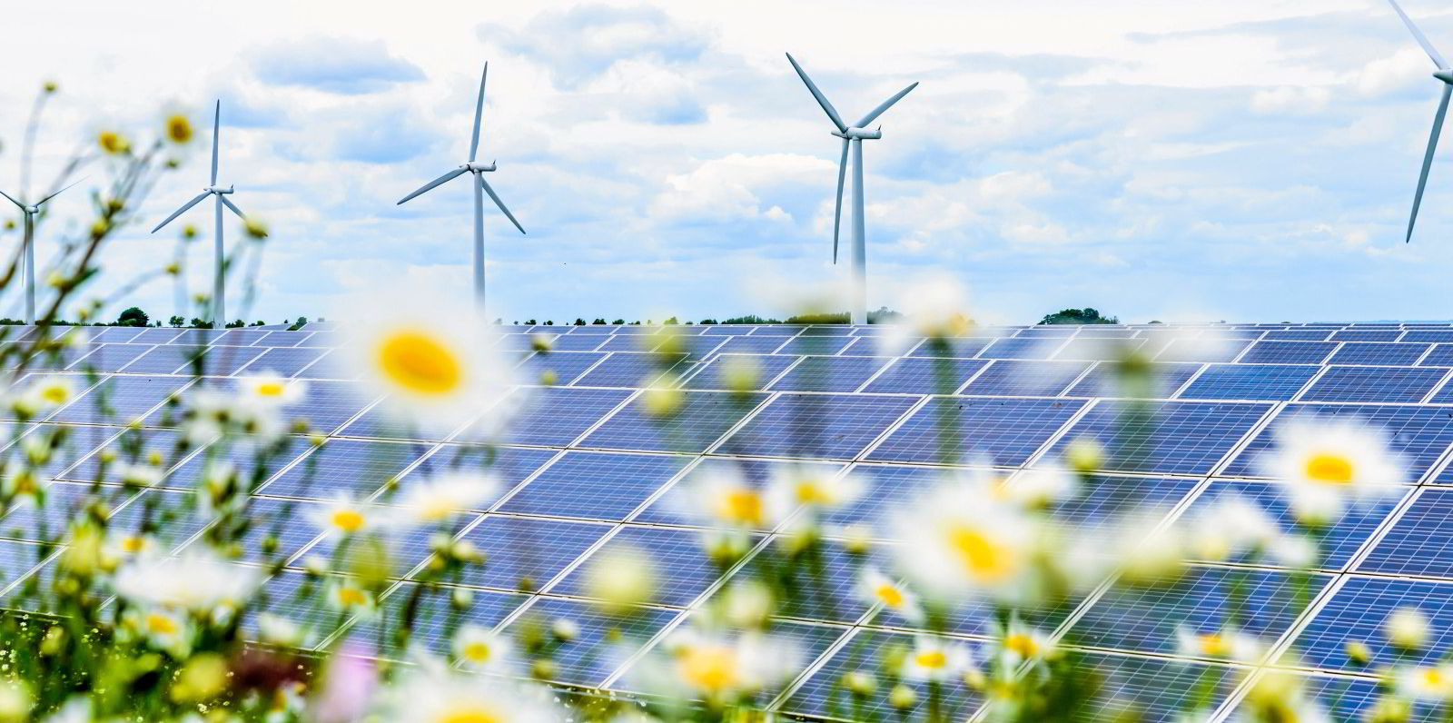 UK needs 'onshore wind and solar revolution': MP Skidmore's net zero ...