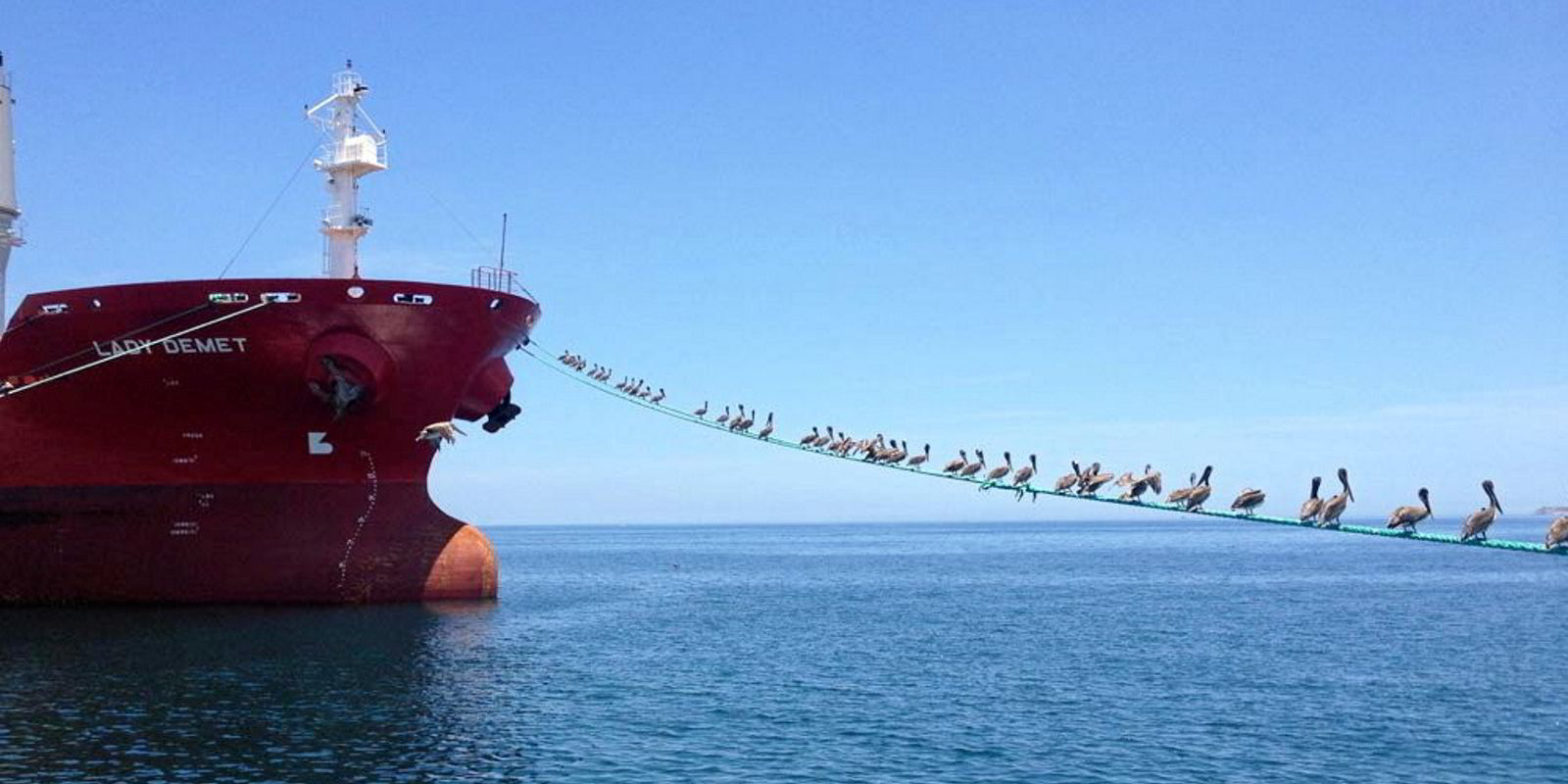 Devbulk grows towards magic 10 again, with fresh handysize buy | TradeWinds