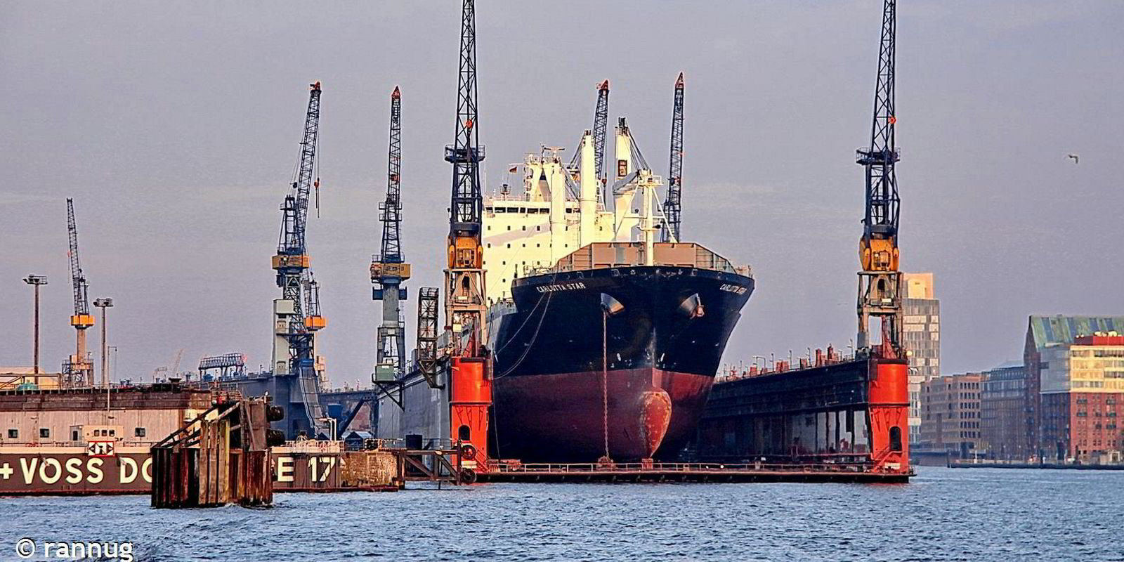 Tufton Oceanic launches $25m tap issue to build fleet again | TradeWinds