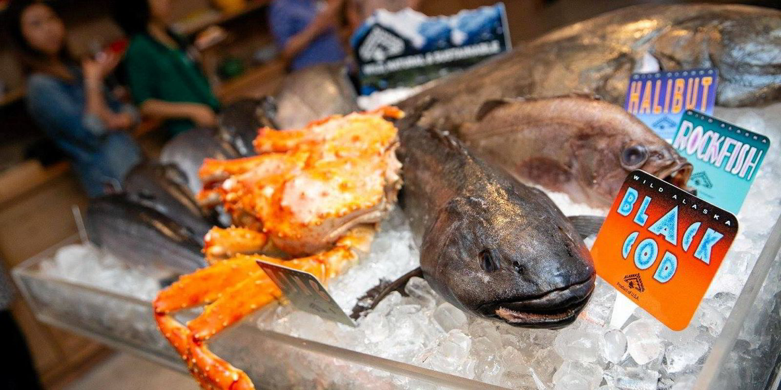 Support builds for labeling wild-caught Alaska seafood as 'organic ...