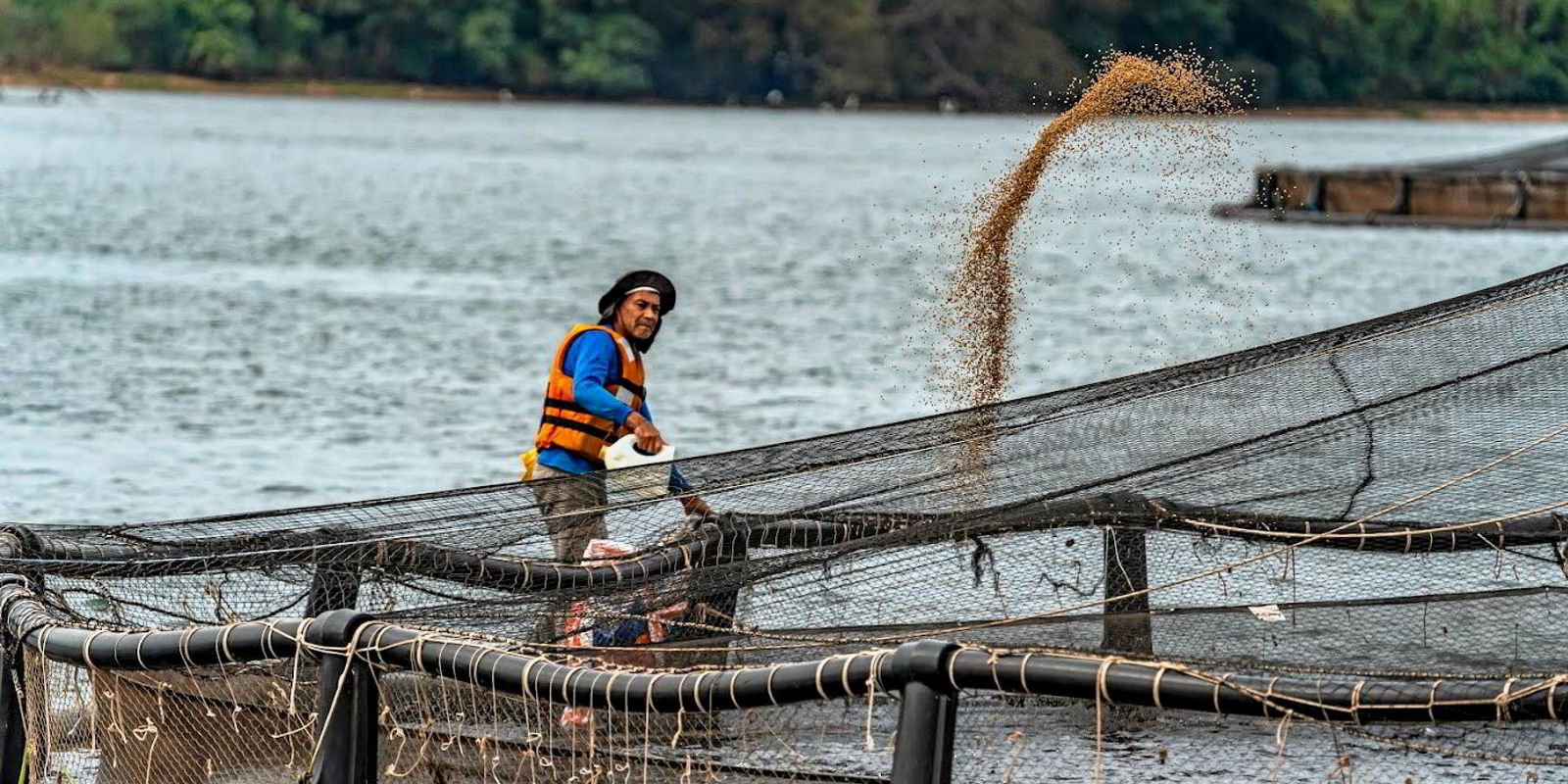 With new private equity backing, Brazil's Tilabras targets over 50% ...