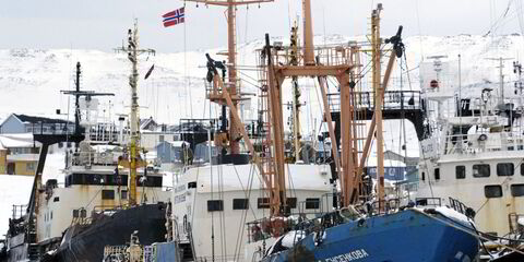 Fisheries - Latest seafood, aquaculture and fisheries news | IntraFish.com