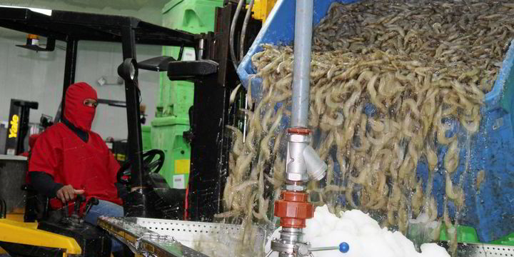 Here's a list of the top 10 Ecuadorian shrimp exporters | IntraFish.com