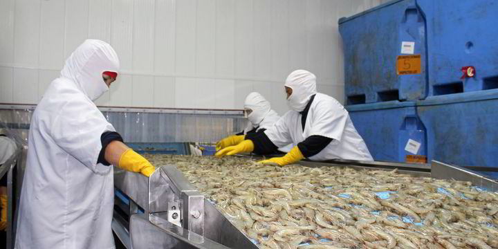 Ecuador expects below double-digit shrimp export growth in 2023 ...