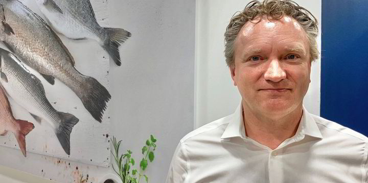 Avramar CEO dismisses reports of debt struggles, has sights set on ...