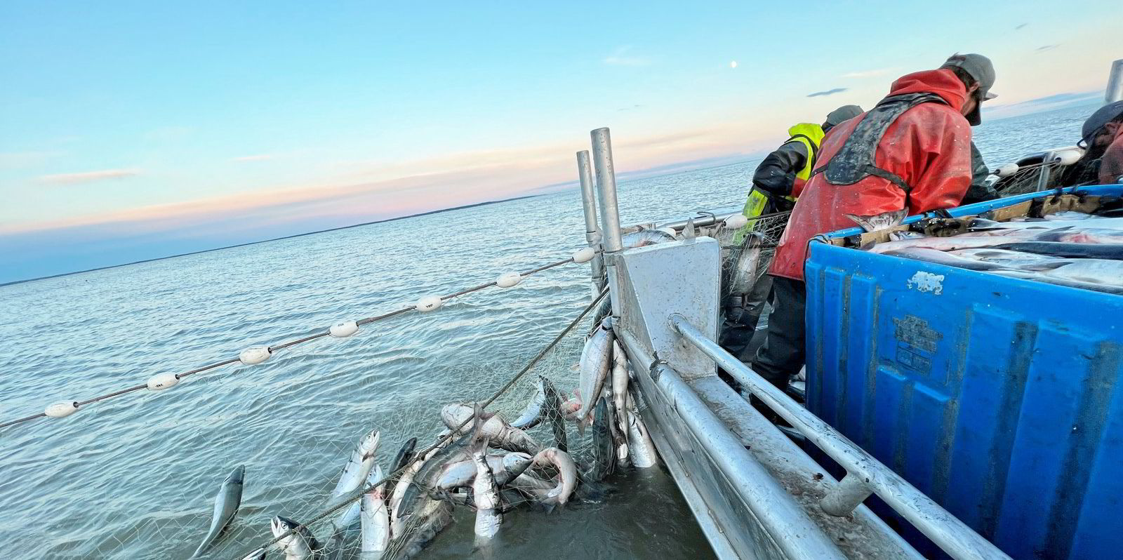 Fishermen alarmed by king salmon restrictions proposed for major ...