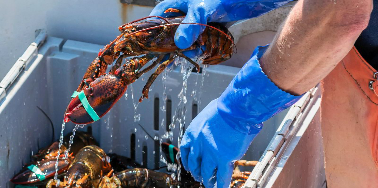 With less inventory backlog from 2022, is the US lobster market finally ...