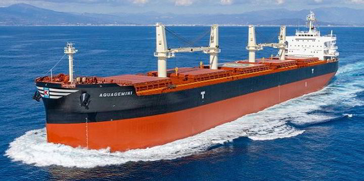 Vietnam’s appetite for grains helps boost bulker tonne-mile demand ...