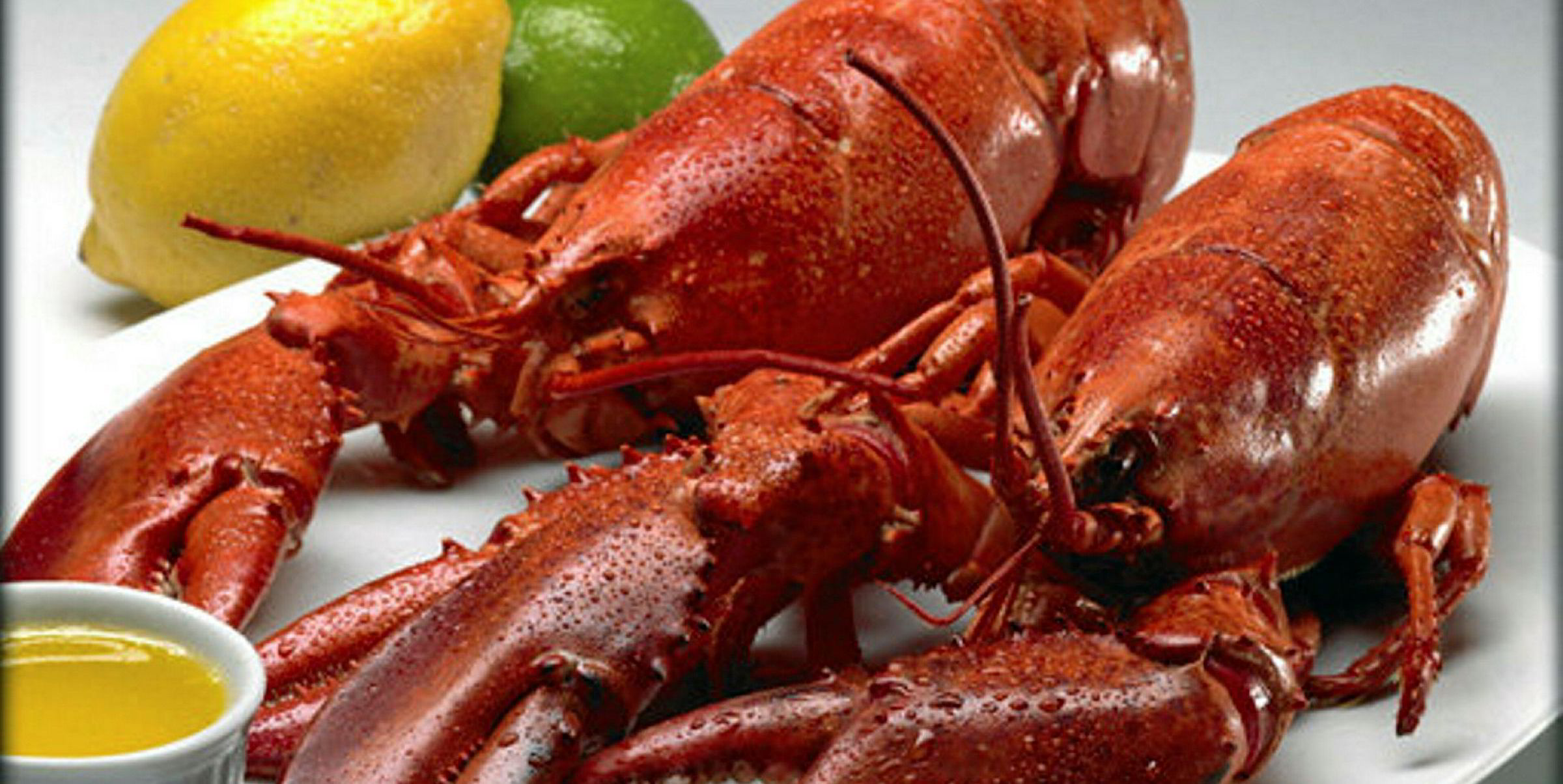 Canada unveils new seafood marketing campaign | IntraFish.com