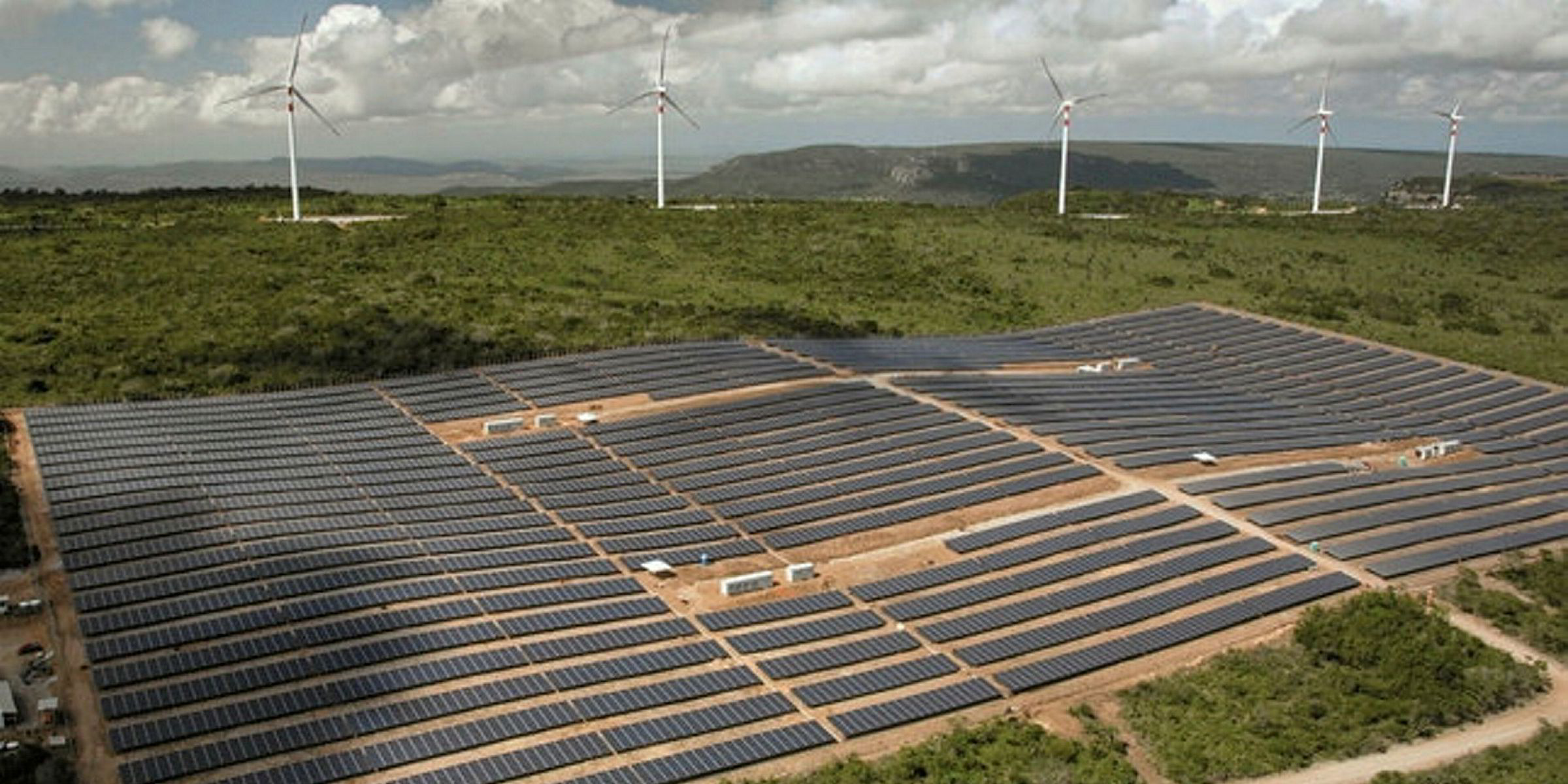 'Brazil needs to get to grips with the energy transition' | Recharge