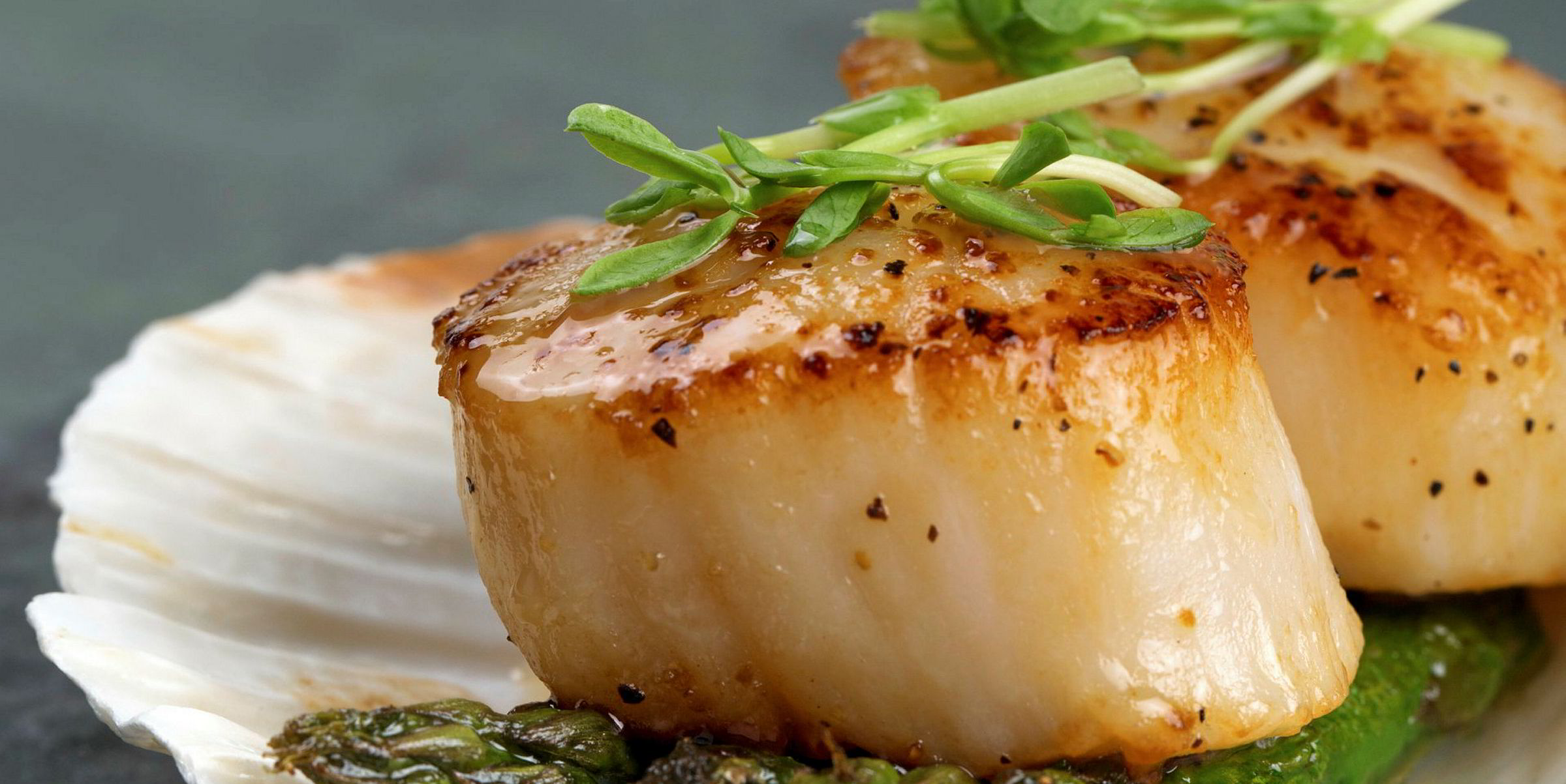 US scallop firms anticipating banner year as season begins | IntraFish.com