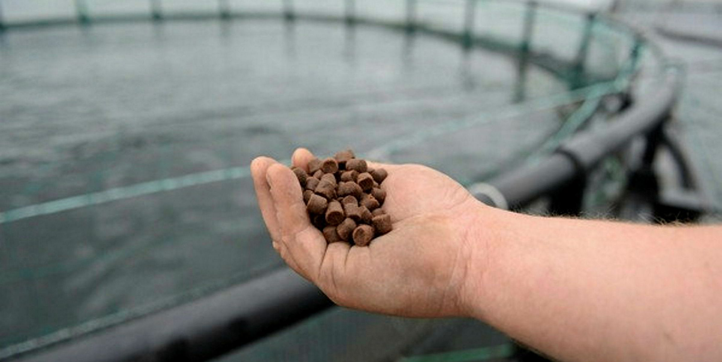 IntraFish Industry Report: Feed industry eyes byproducts as greater raw ...