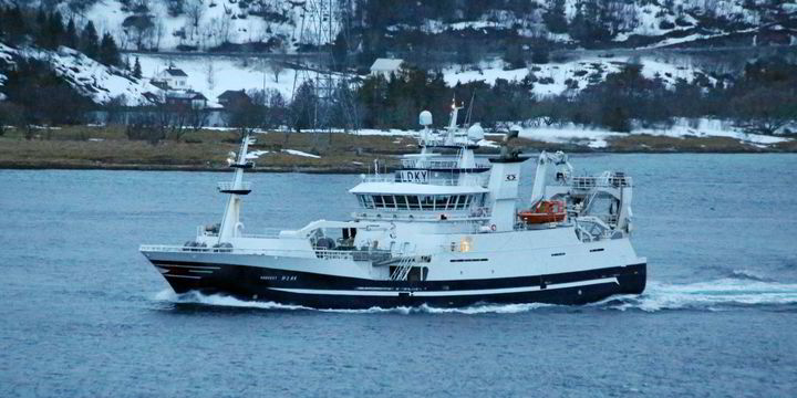 Lodda prises til seks-sju kroner kiloet | Fiskeribladet