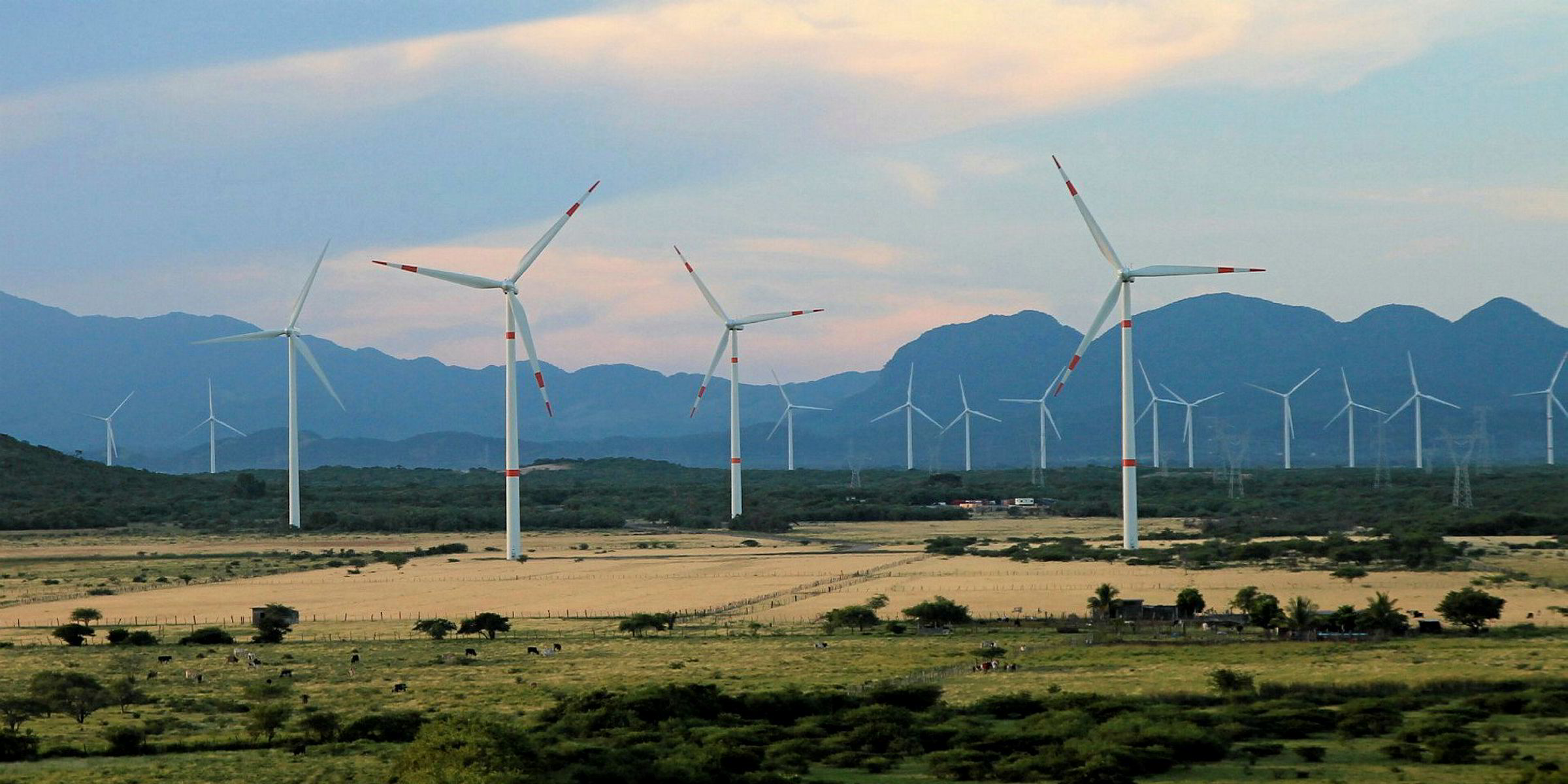 Siemens Gamesa hails success in first three Mexican wind rounds | Recharge