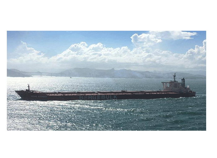 Vale’s Tubarao port complex loads first iron ore cargoes | TradeWinds