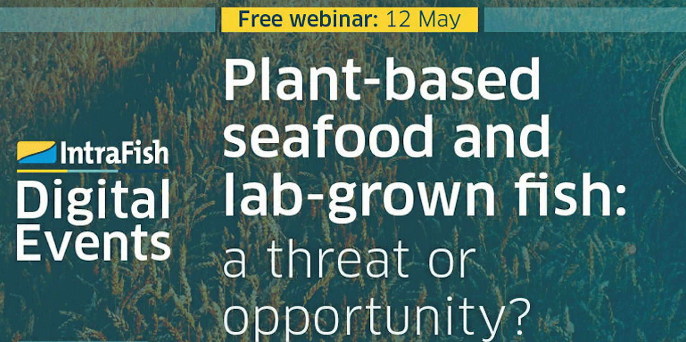IntraFish Digital Events: Join Nutreco, BlueNalu, Good Catch and Santa ...