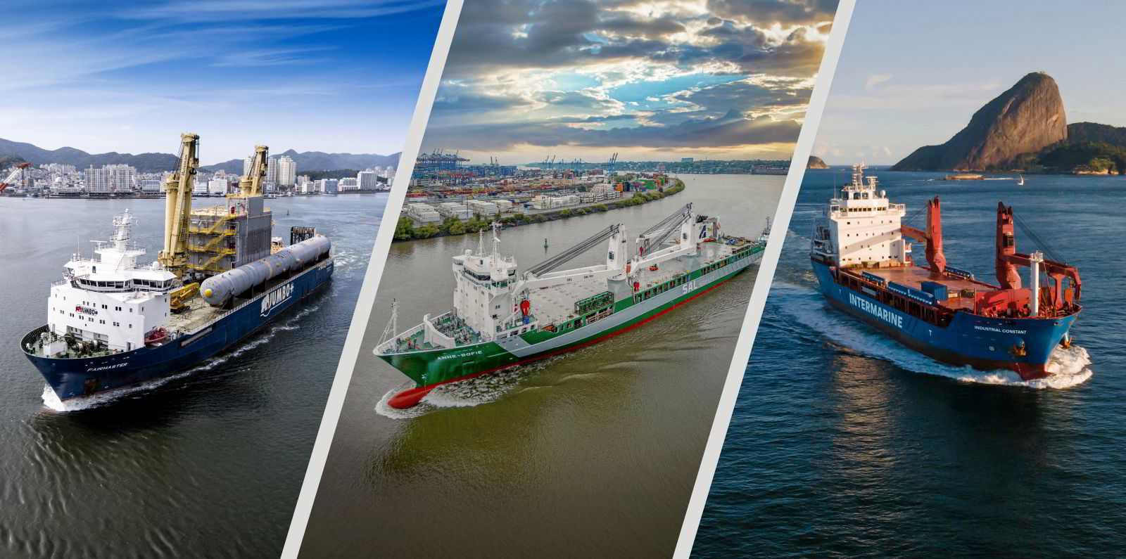 Intermarine joins Jumbo-SAL venture to forge 50-ship ‘powerhouse ...