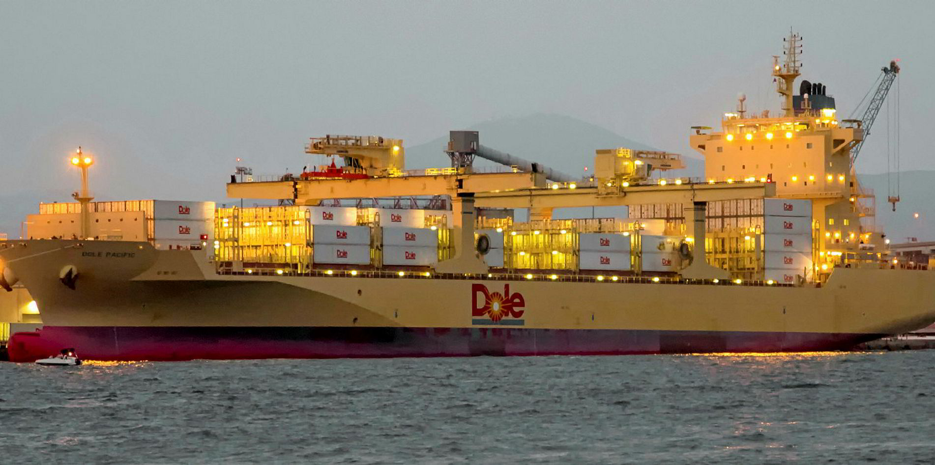 Dole eyes Chinese newbuildings as fleet ripens for renewal | TradeWinds