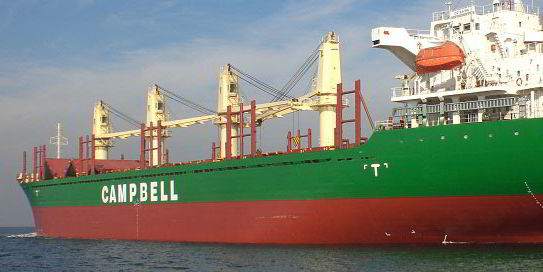 Campbell Shipping bulker still on market | TradeWinds