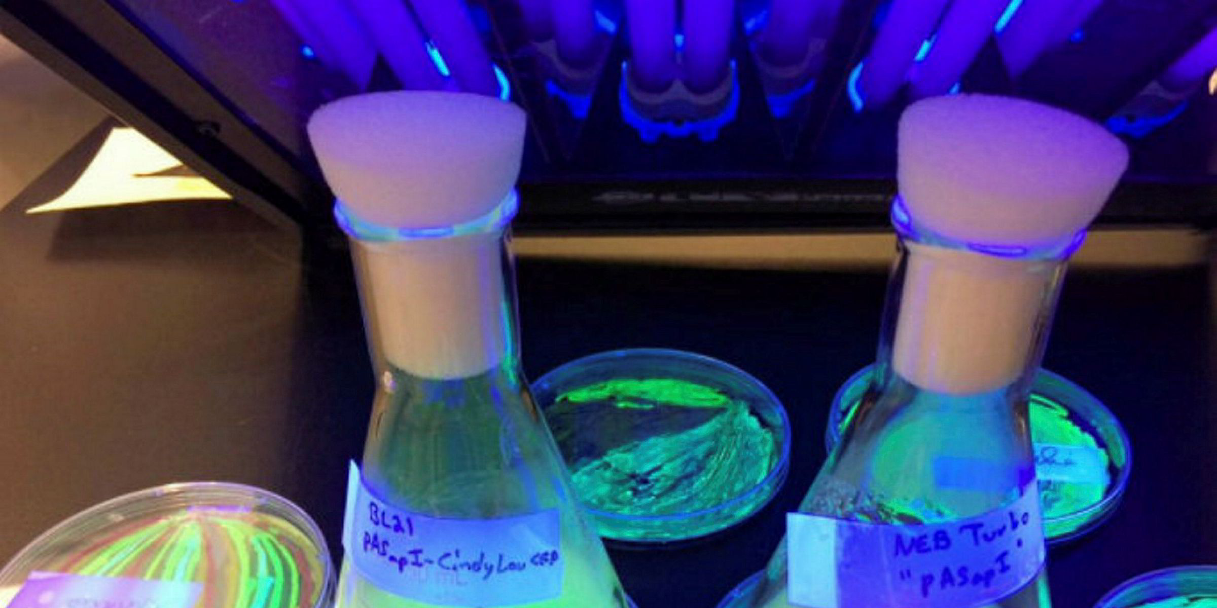 Aquaculture biotech start-up raises $1.2 million in funding | IntraFish.com