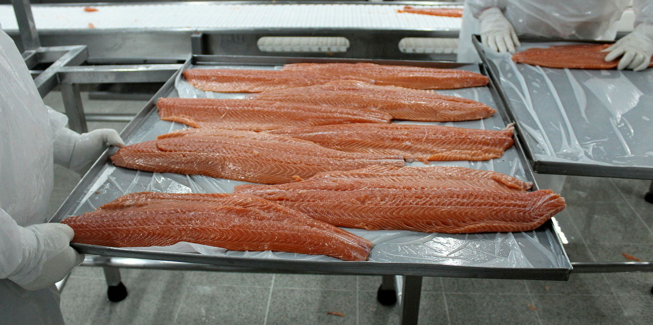 Noordzee expects over 60% sales growth from salmon plant acquisition ...