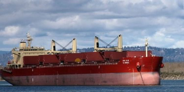 SK Shipping bulker comes to the rescue | TradeWinds
