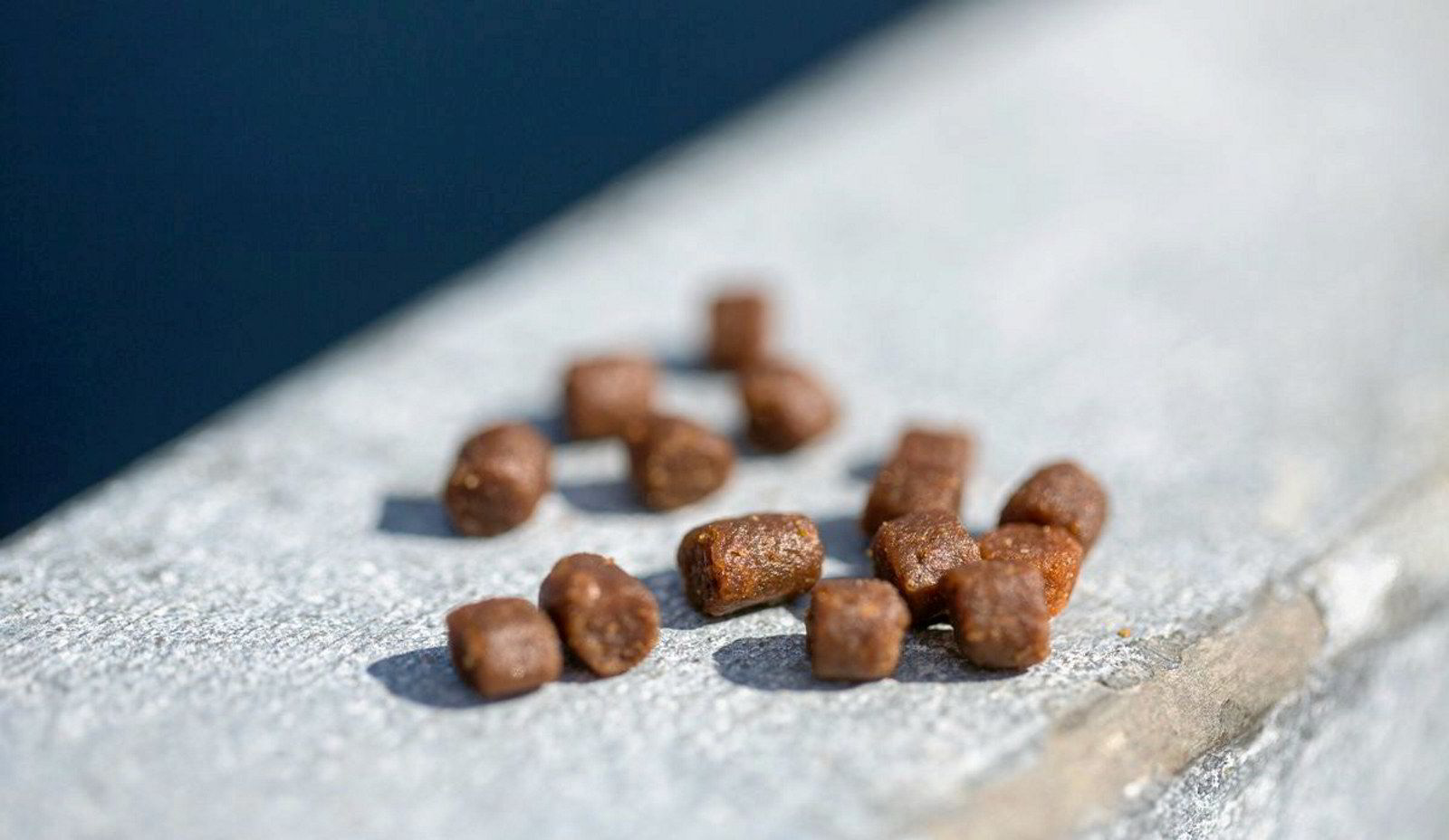 Fiskeriministeren vil forhandle om å få ned overfisket på kolmule ...