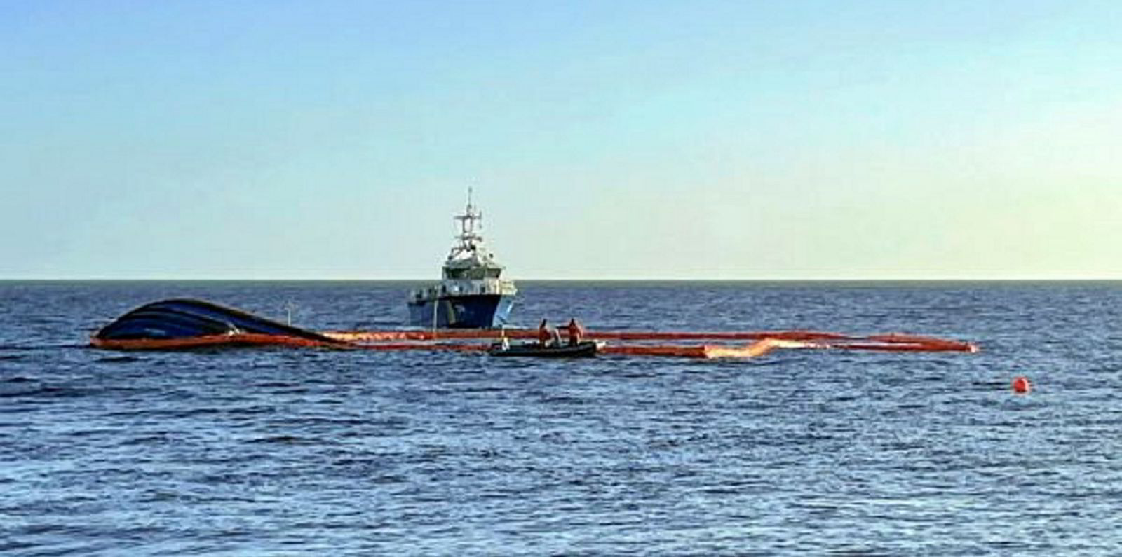 Tearful UK officer jailed in Denmark over fatal Karin Hoj collision ...