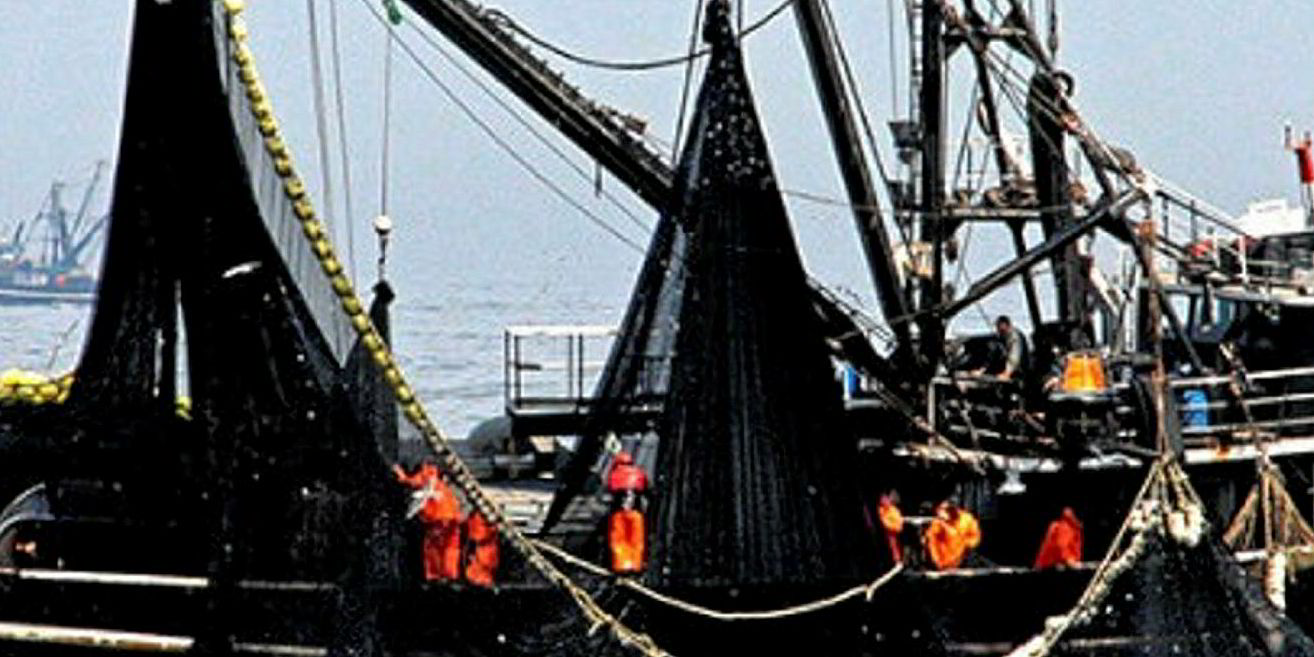 23% of Peru anchovy quota harvested in opening 3 weeks | IntraFish.com