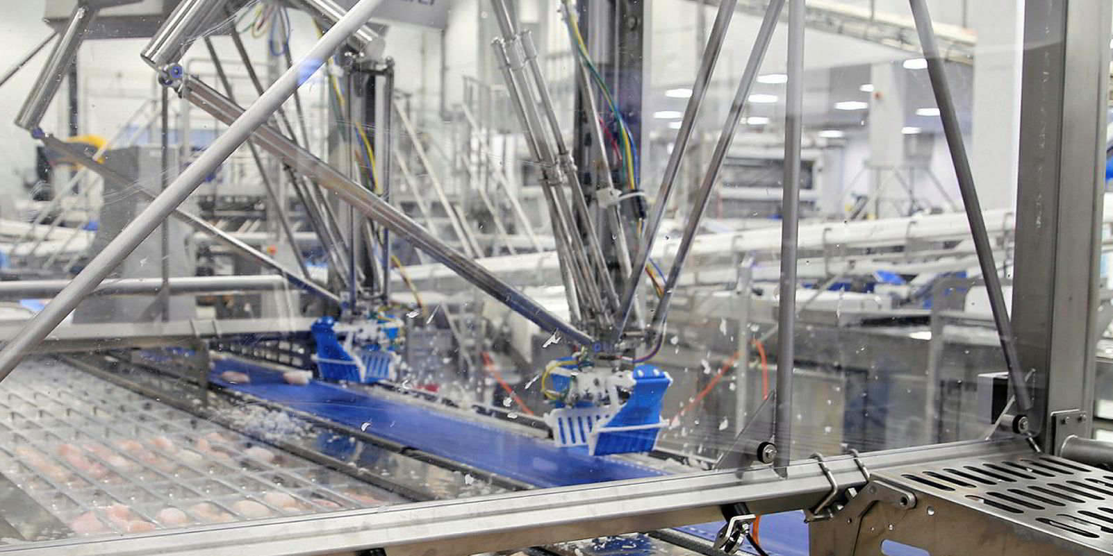 Despite slow Q4, Marel posts strong 2018 results | IntraFish.com