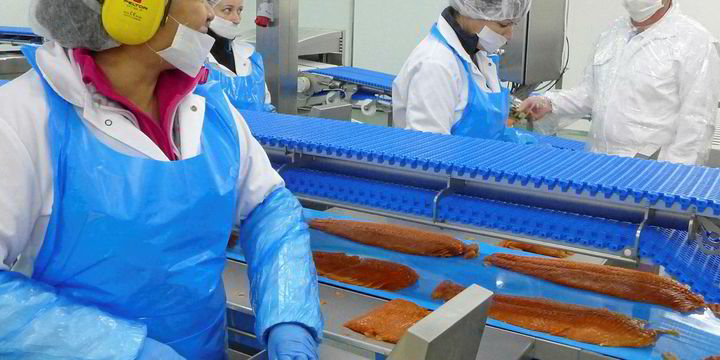 Norwegian processor takes hit from soaring raw material prices ...