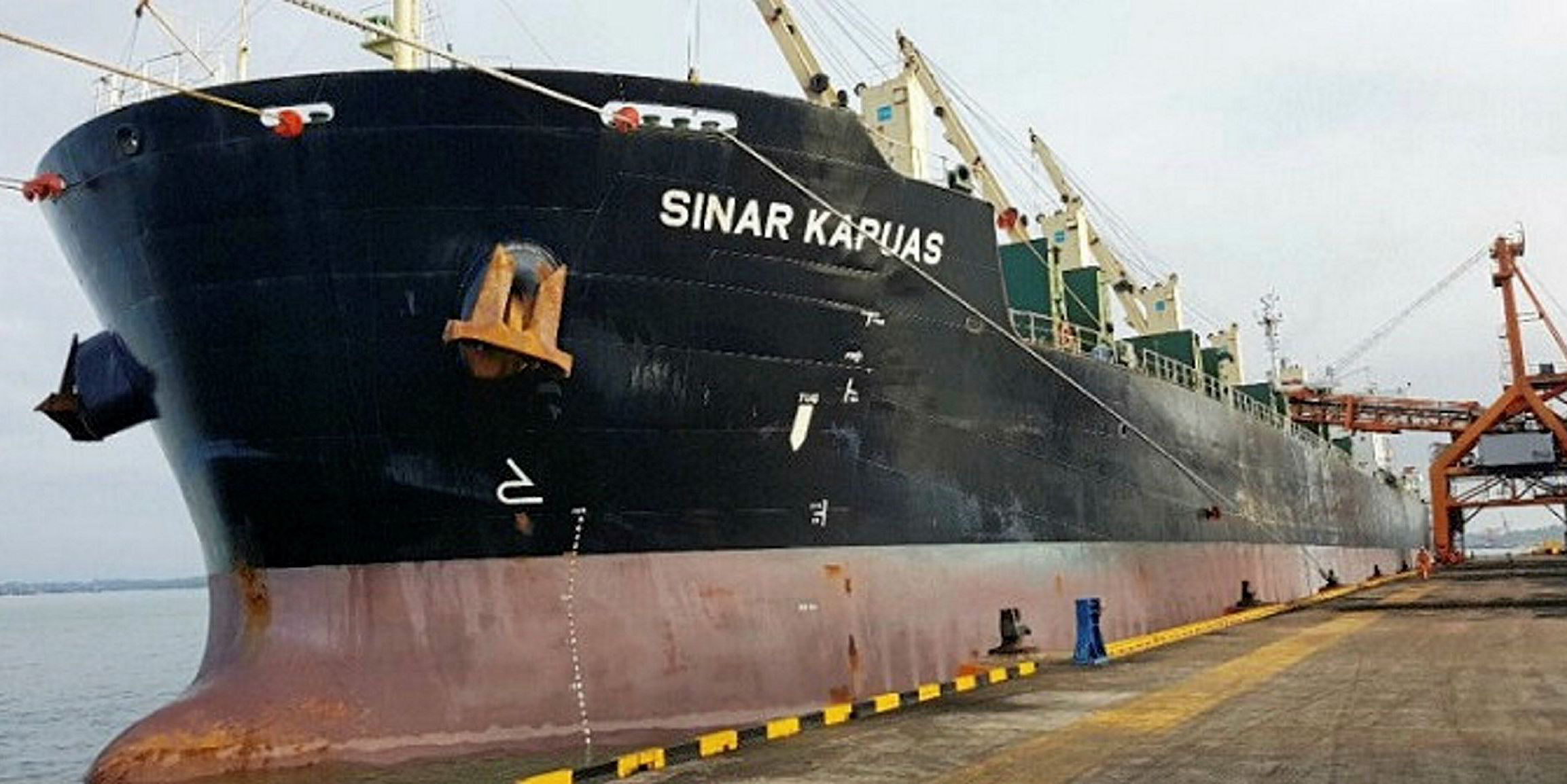 Samudera Shipping offloads modern handymax bulker duo | TradeWinds