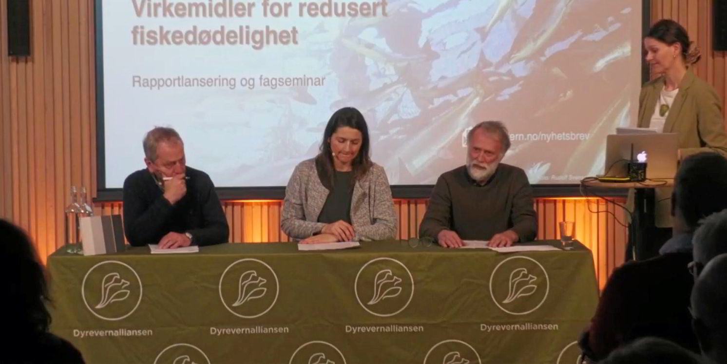 Sjømat Norge vil ikke ha egen indikator for dødelighet | IntraFish.no