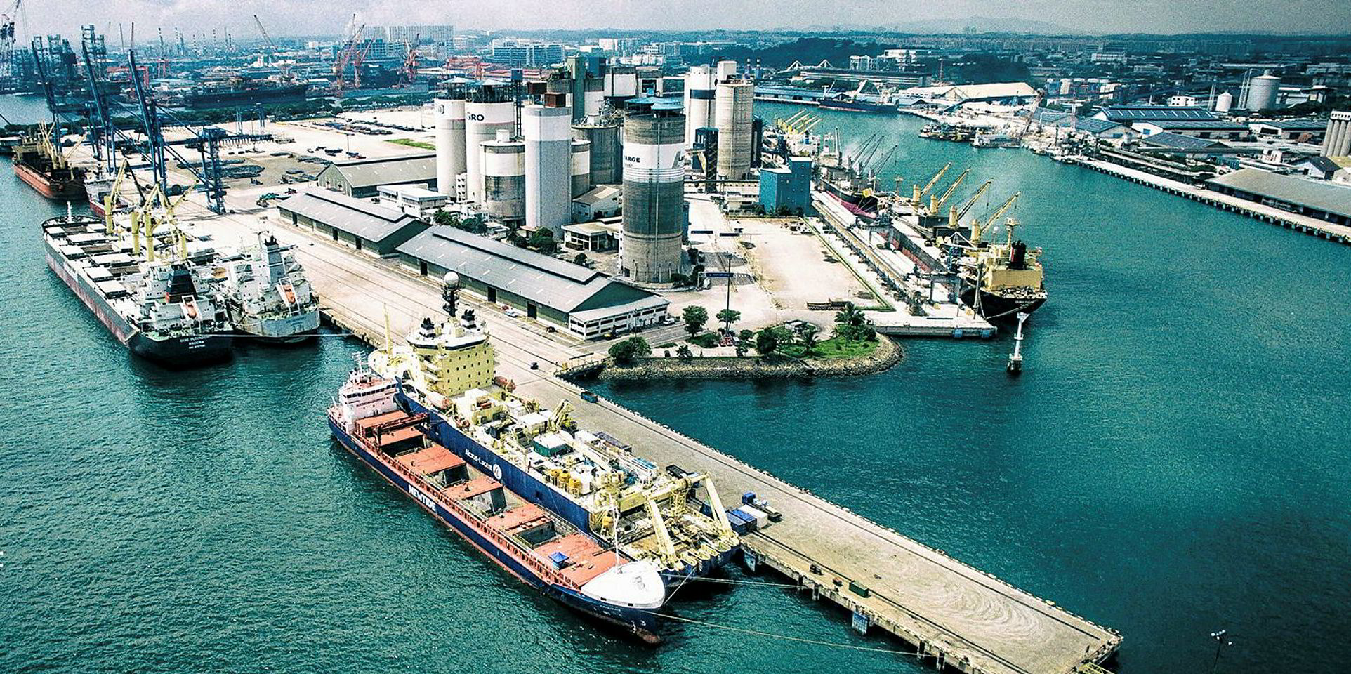 Jurong looks to ‘cement’ its place as Singapore’s top bulker port ...