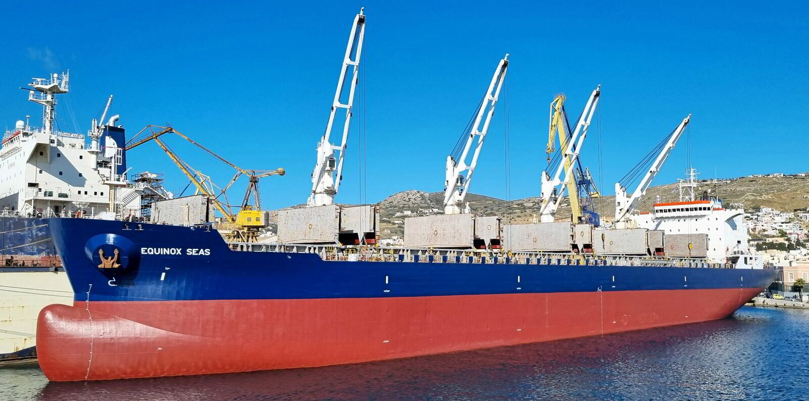 Shipyard safety warning after seafarer dies in fall on bulker | TradeWinds